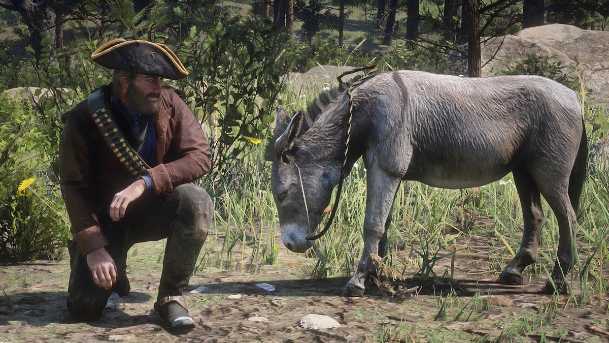 Red Dead Online: Pack Animals (donkeys/mules) - Red Dead Online - GTAForums