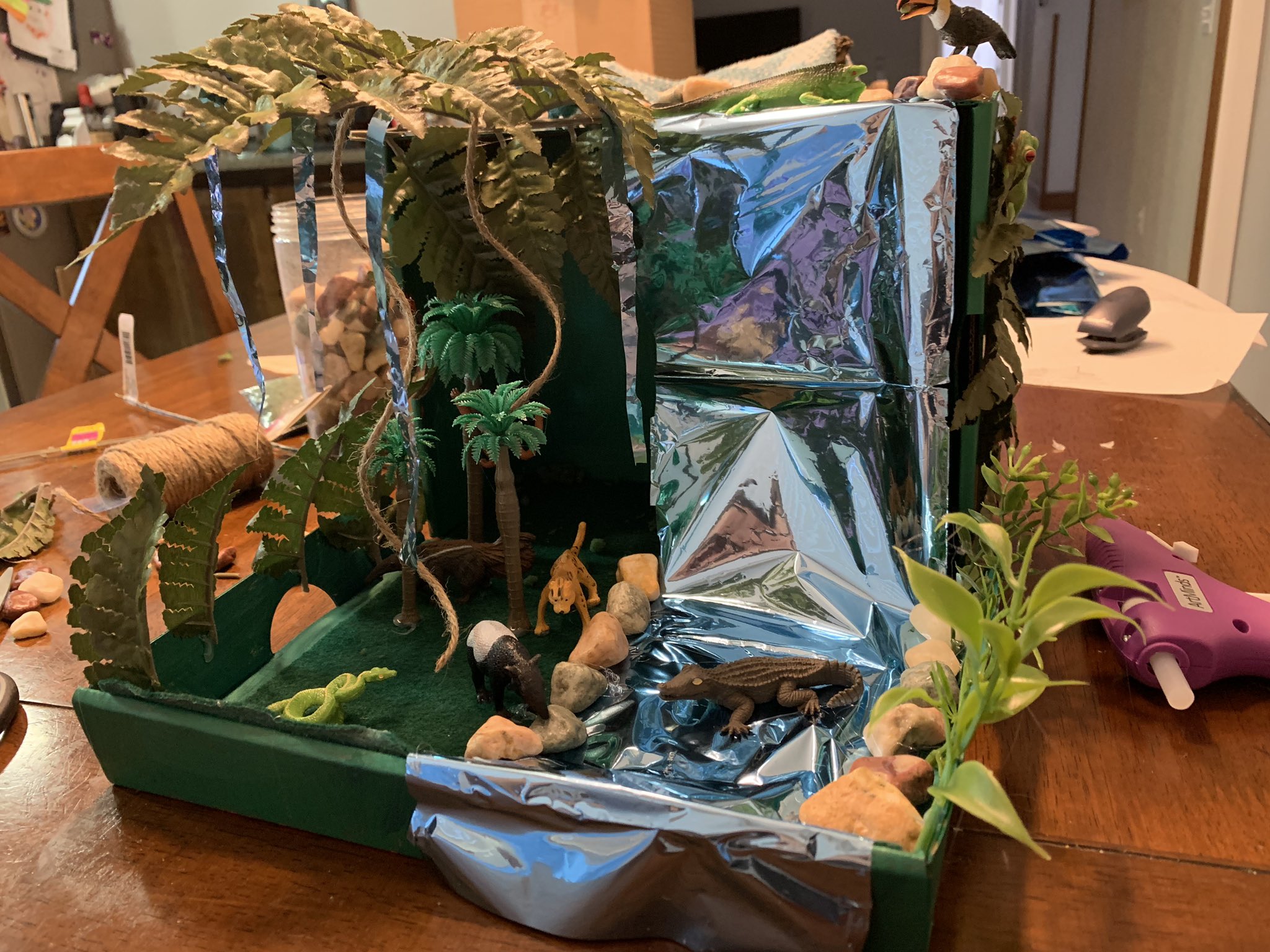 Rainforest Diorama