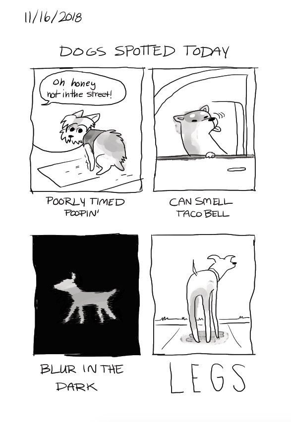 「Happy Election Day! Here are some dogs I saw at the polls to」kasey ...