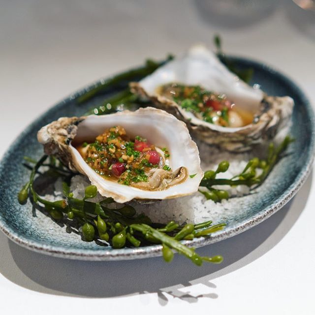 Anders Husa (@AndersHusa) | Twitter