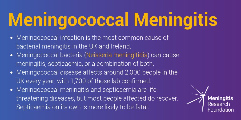 Bacterial Meningitis Bacteria