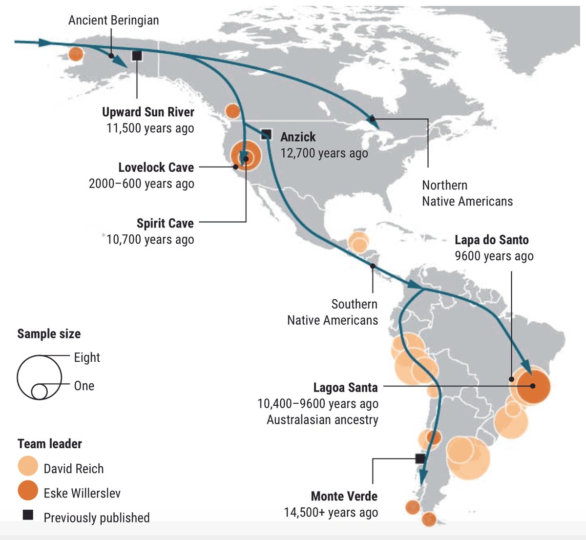 What Is Native American Dna
