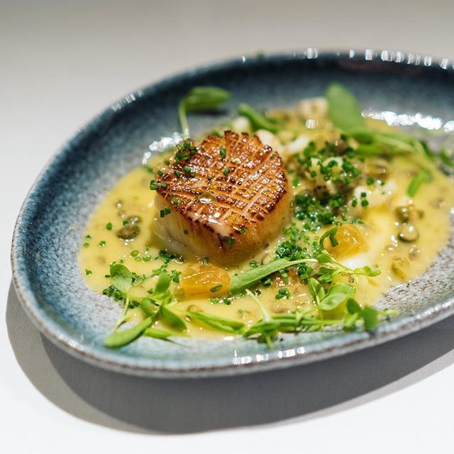 Anders Husa (@AndersHusa) | Twitter