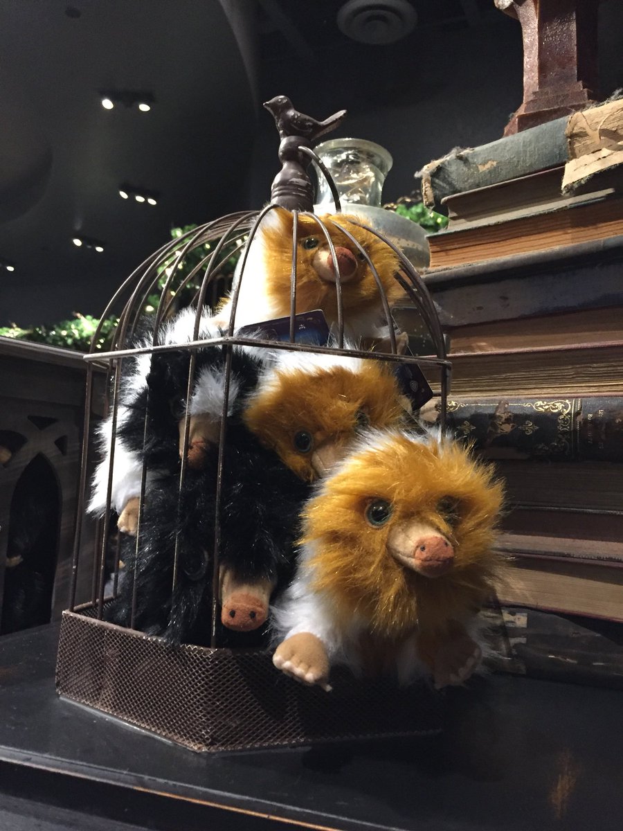 Pygmy Puff Harry Potter Scene