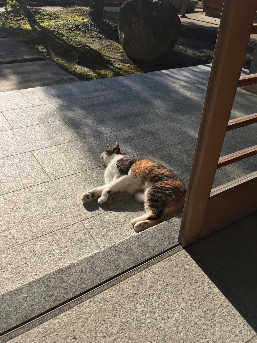 マフティー (@mafty_0080) | Twitter