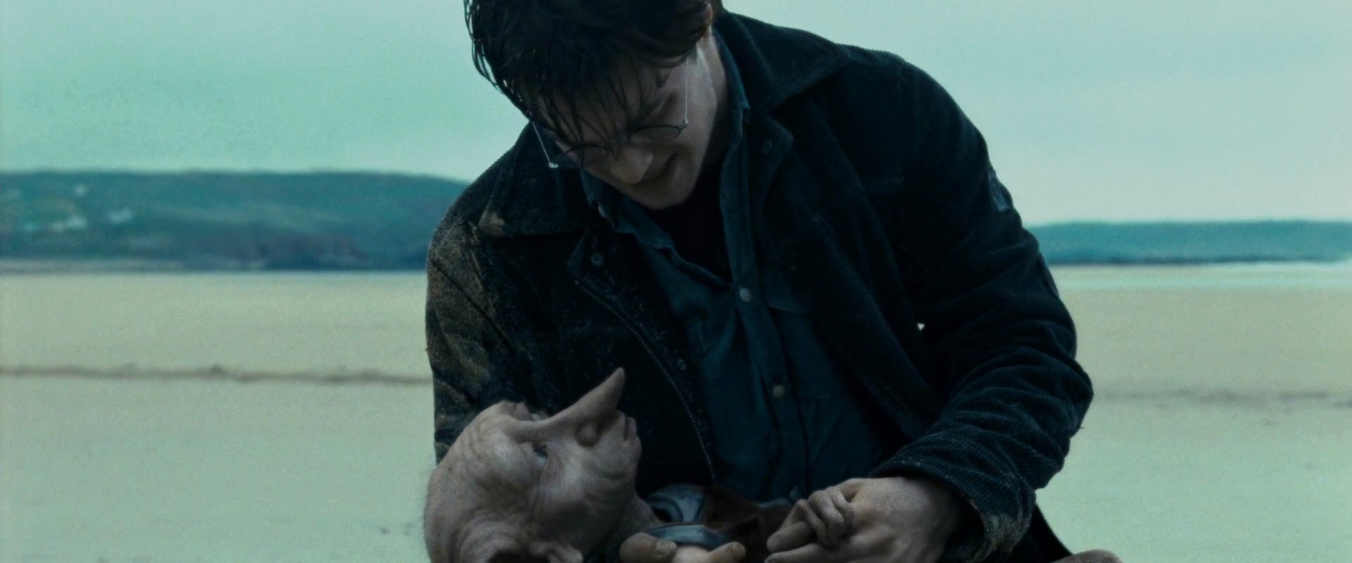 Dobby Death