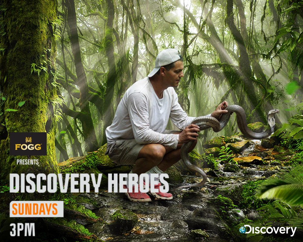 Discovery Channel Animals