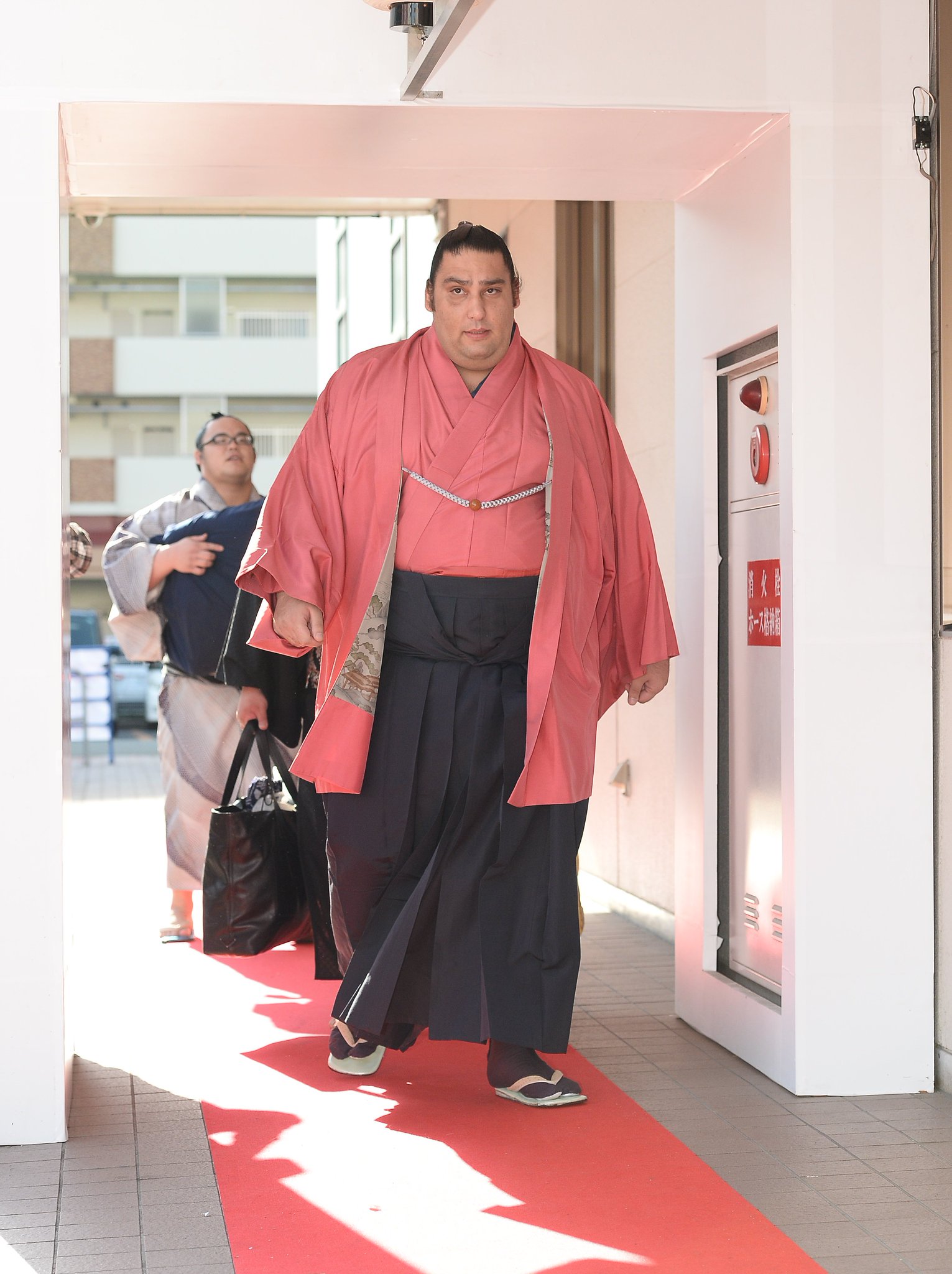 Day 9 pics Kyushu Basho 2018 - Honbasho Talk - Sumo Forum