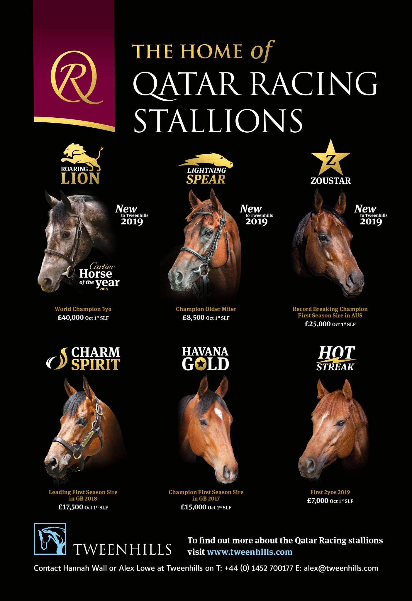Impressive Stallion