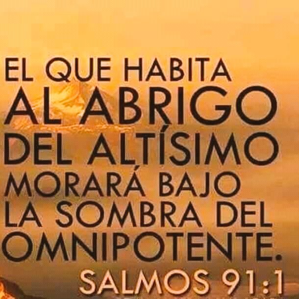 Dios Altísimo : Últimas noticias y actualidad en vivo - Scoopnest