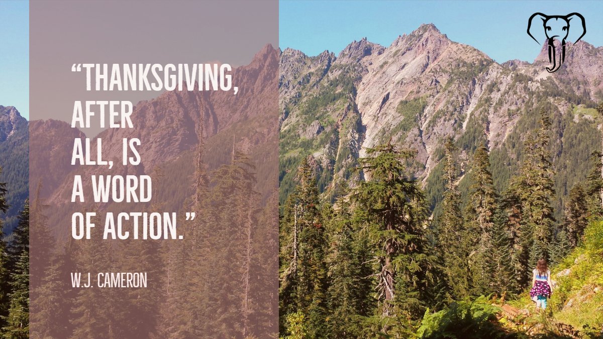 Postgres Advocacy (@amplifypostgres) | Twitter