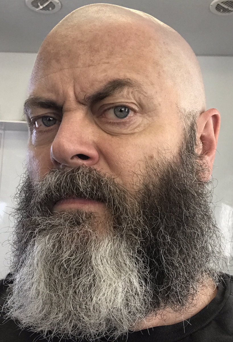 Nick Offerman Bigode