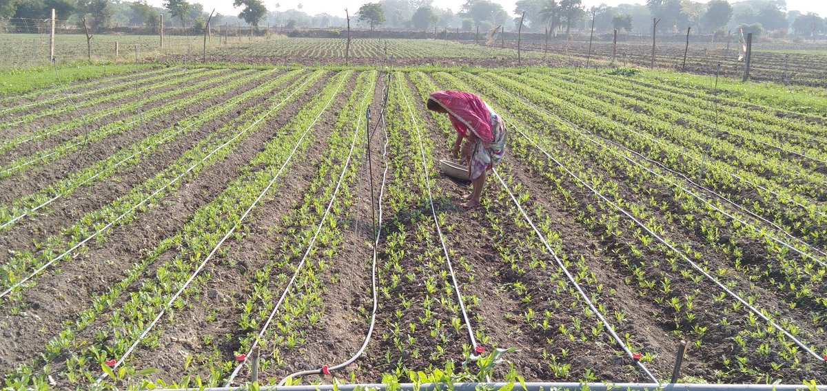 Pappu Dhaker (@PappuDhaker10) | Twitter