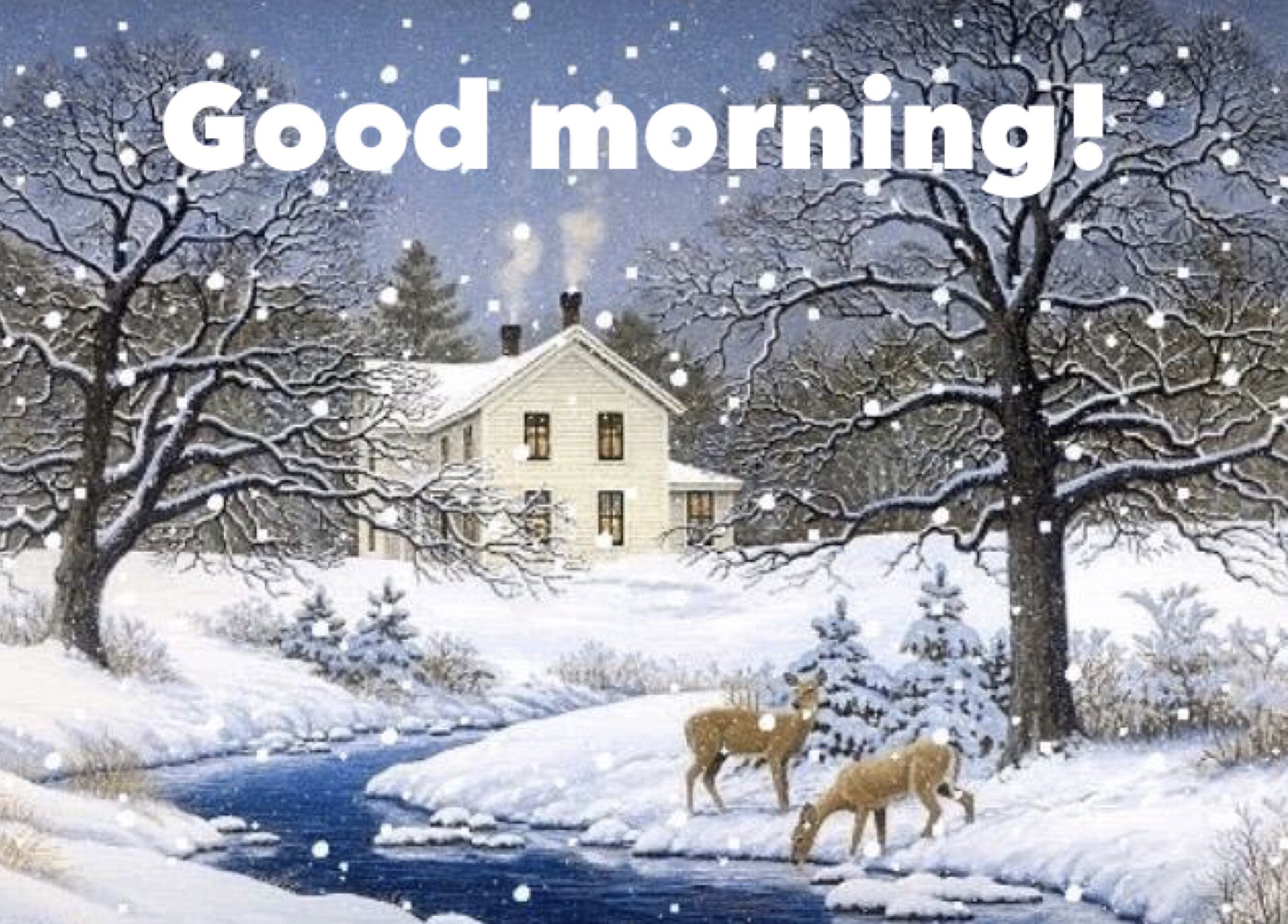Eden Garden On Twitter Good Morning Happy Tuesday Have A Wonderful eden-garden-on-twitter-good-morning-happy-tuesday-have-a-wonderful