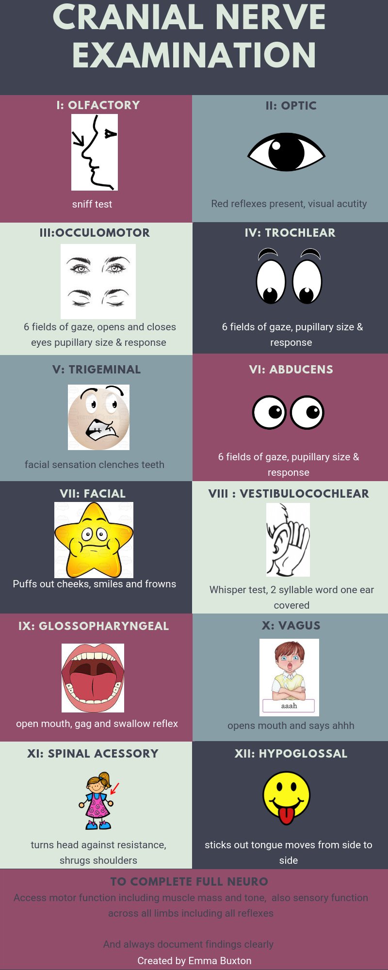 Cranial Nerve Memes This [meme] Is Brought To You By Brainstem Gang