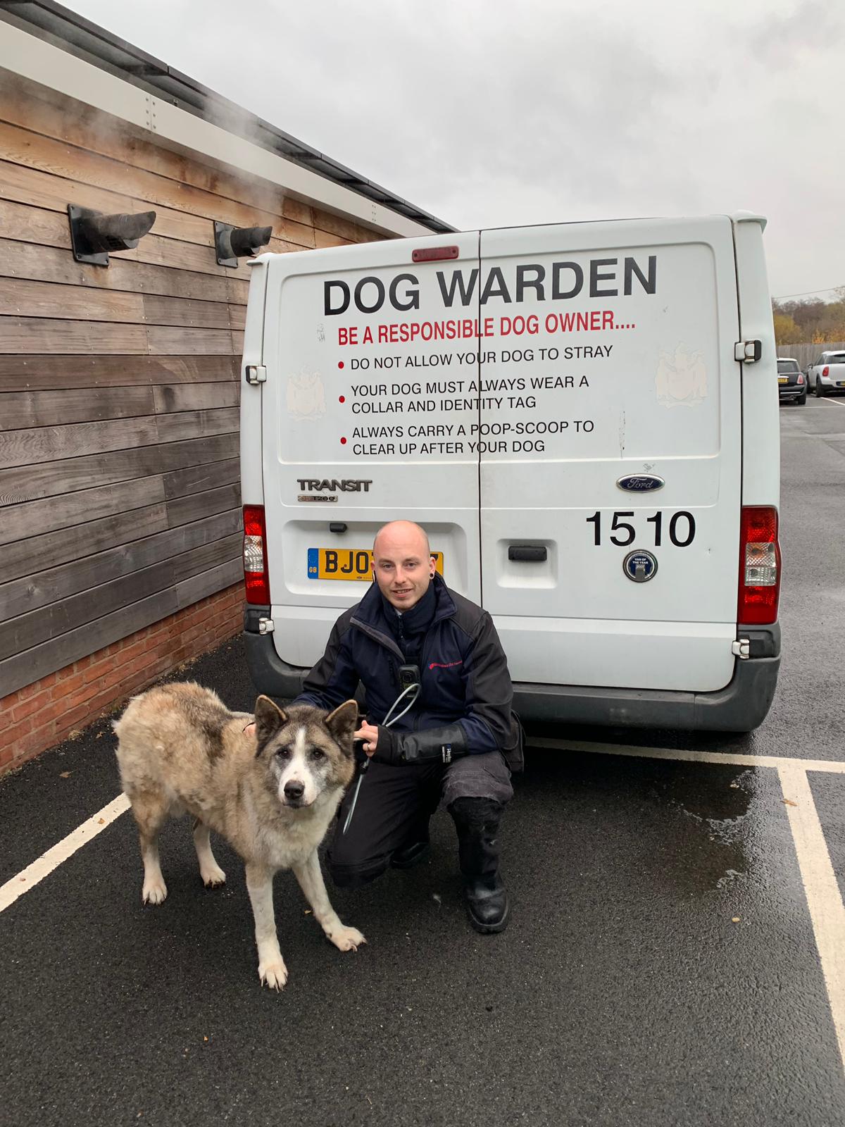 What Can A Dog Warden Do
