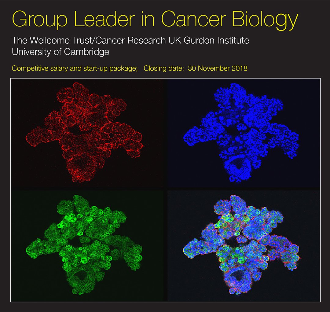 Branco Lab (@BrancoLab) | Twitter