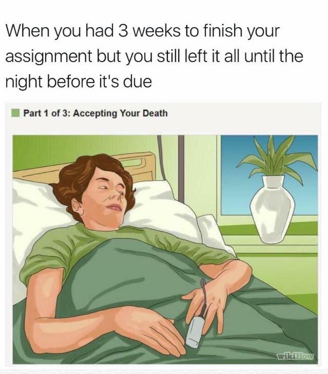 Uni Assignment Memes Academic Memes | College Meme | Student Meme