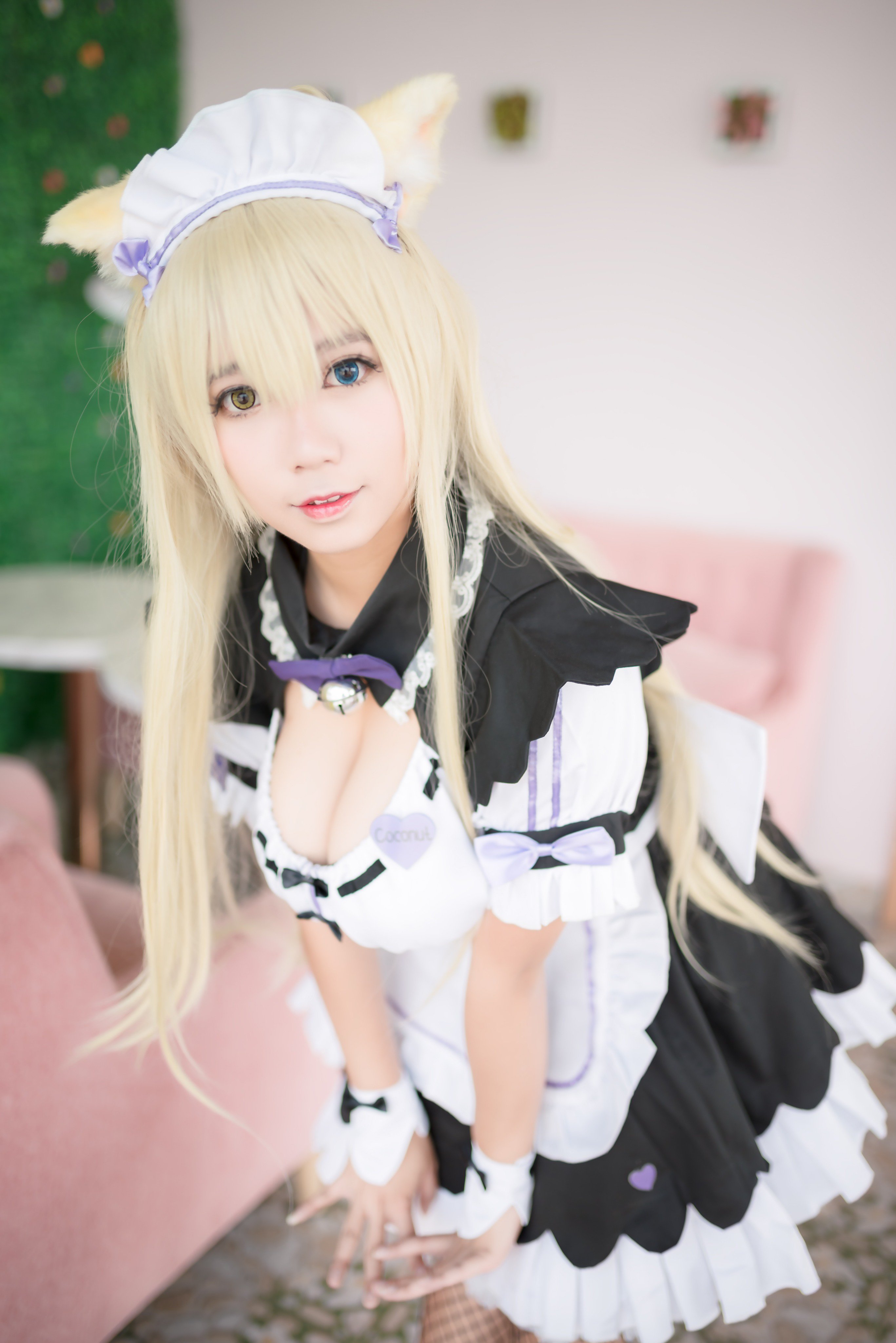Momoxoxo on Twitter: "Meowww🐱🐱 Hope you looking at coconut QvQ #nekopara #neko #coconut #cosplay ...