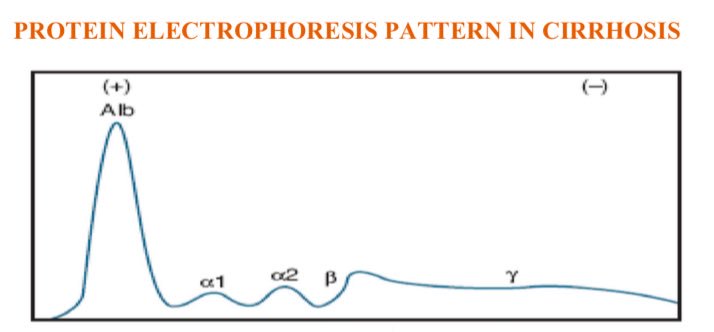 ملخص Biochemistry👩🏻‍🔬 - المسلسل من غيداء طلال بصفر🇸🇦 @ghayda_basfar - رتبها