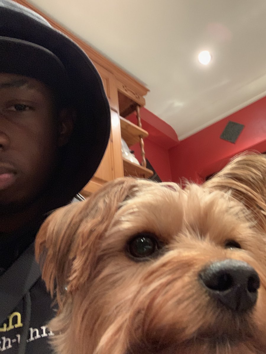 20 best Twitter @tobjizzle images on Pholder | Graeme Souness just ...