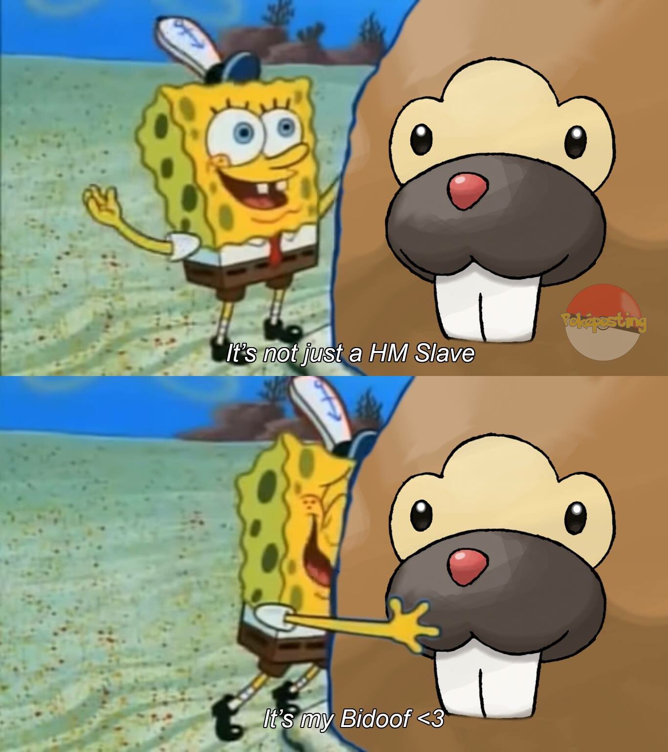 Bidoof Meme