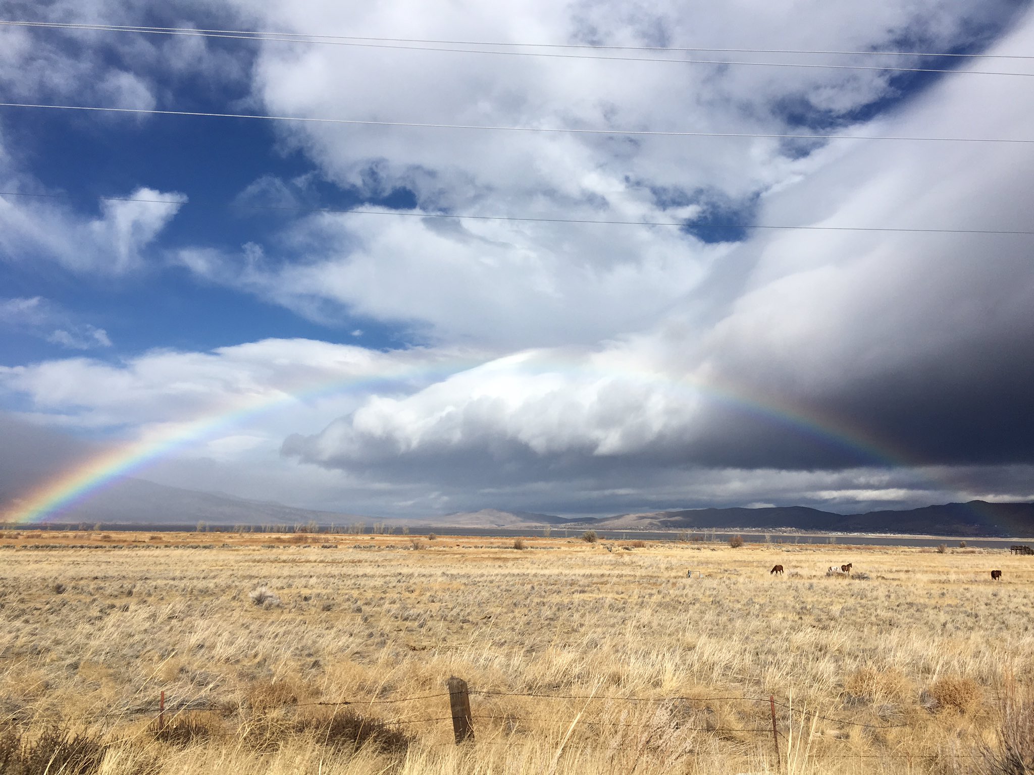 Reno Fire Department on Twitter: "Rainbows and wild horses, ️ Northern Nevada https://t.co ...