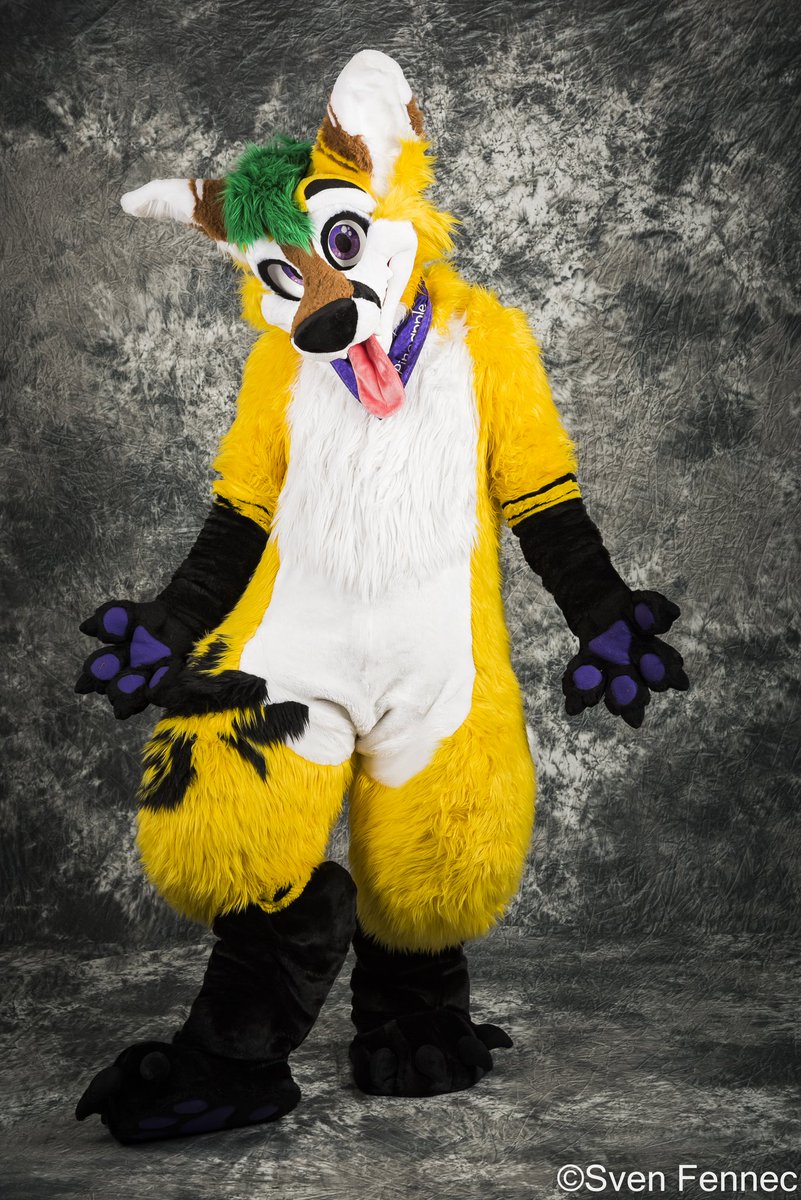 Jonathan Bruno (@PuffyPawPads) | Twitter