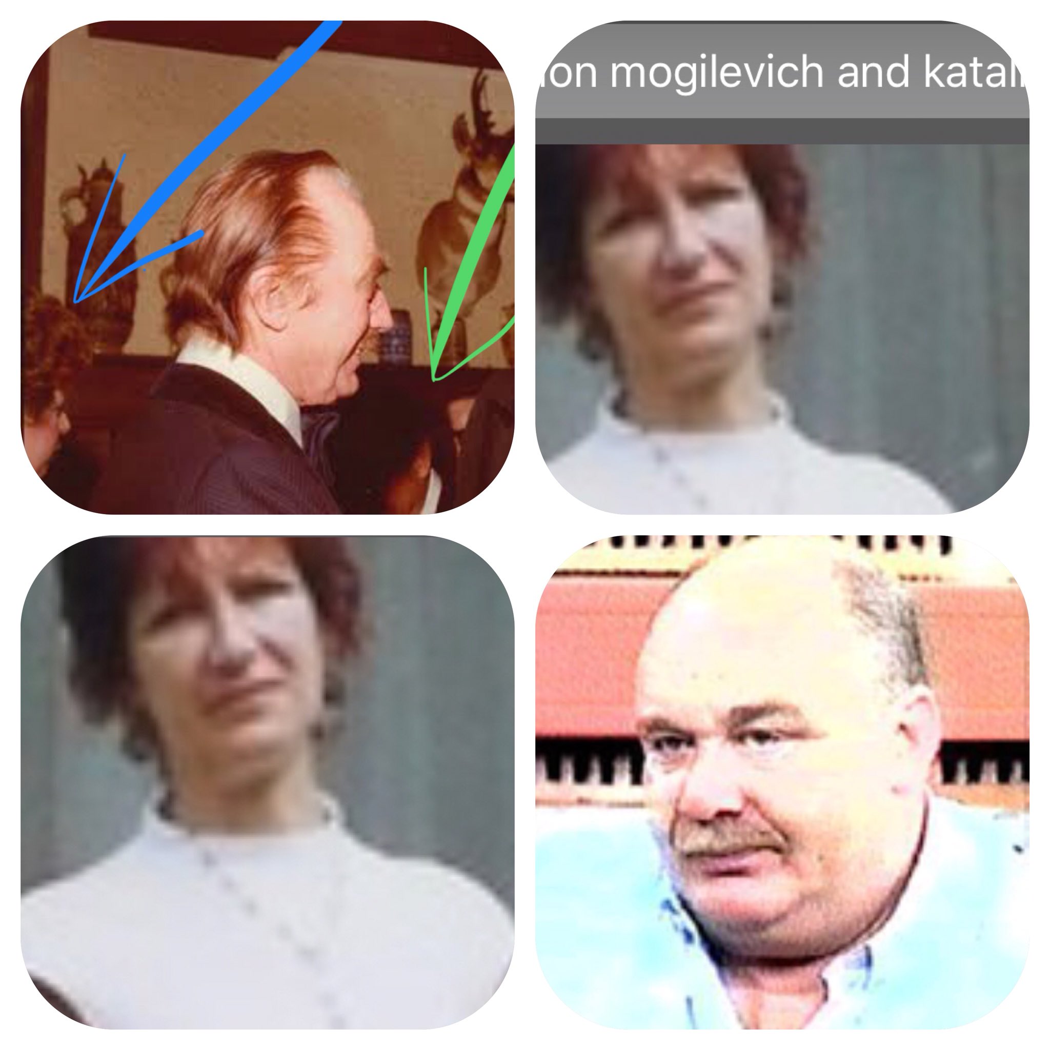 Semion Mogilevich Wife