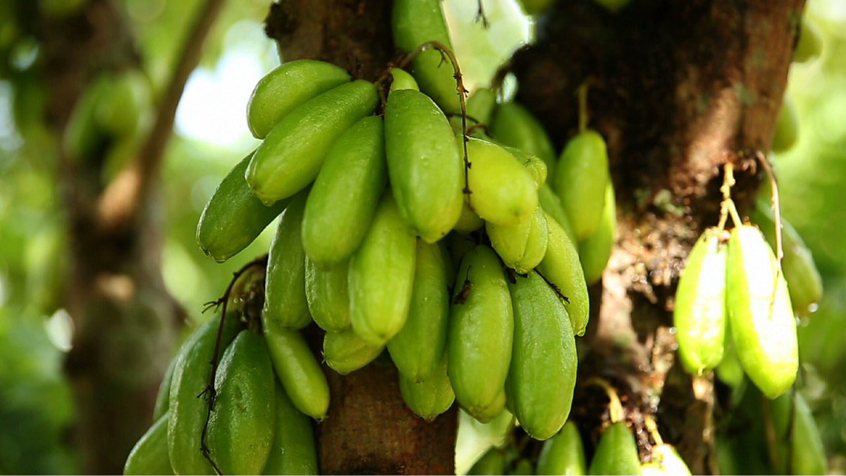 216 best Kmjs images on Pholder | KM Jessica Soho, Philippines and ...