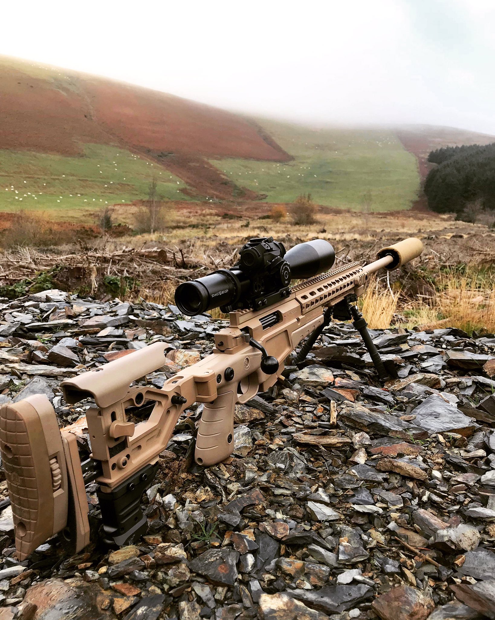 International Rifles