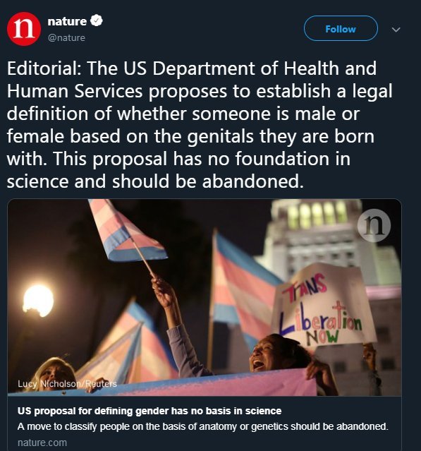 Examples Of Slippery Slope Fallacy In Media