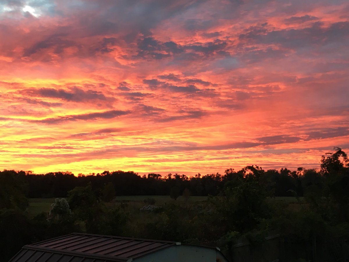 Diane Kacmarik: sunsrise was awesome this Saturday AM in Florida. Pic ...