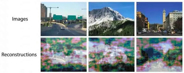 Sabera Talukder on Twitter: "Cool paper out of @Yale @NatureComms combining #fMRI with # ...