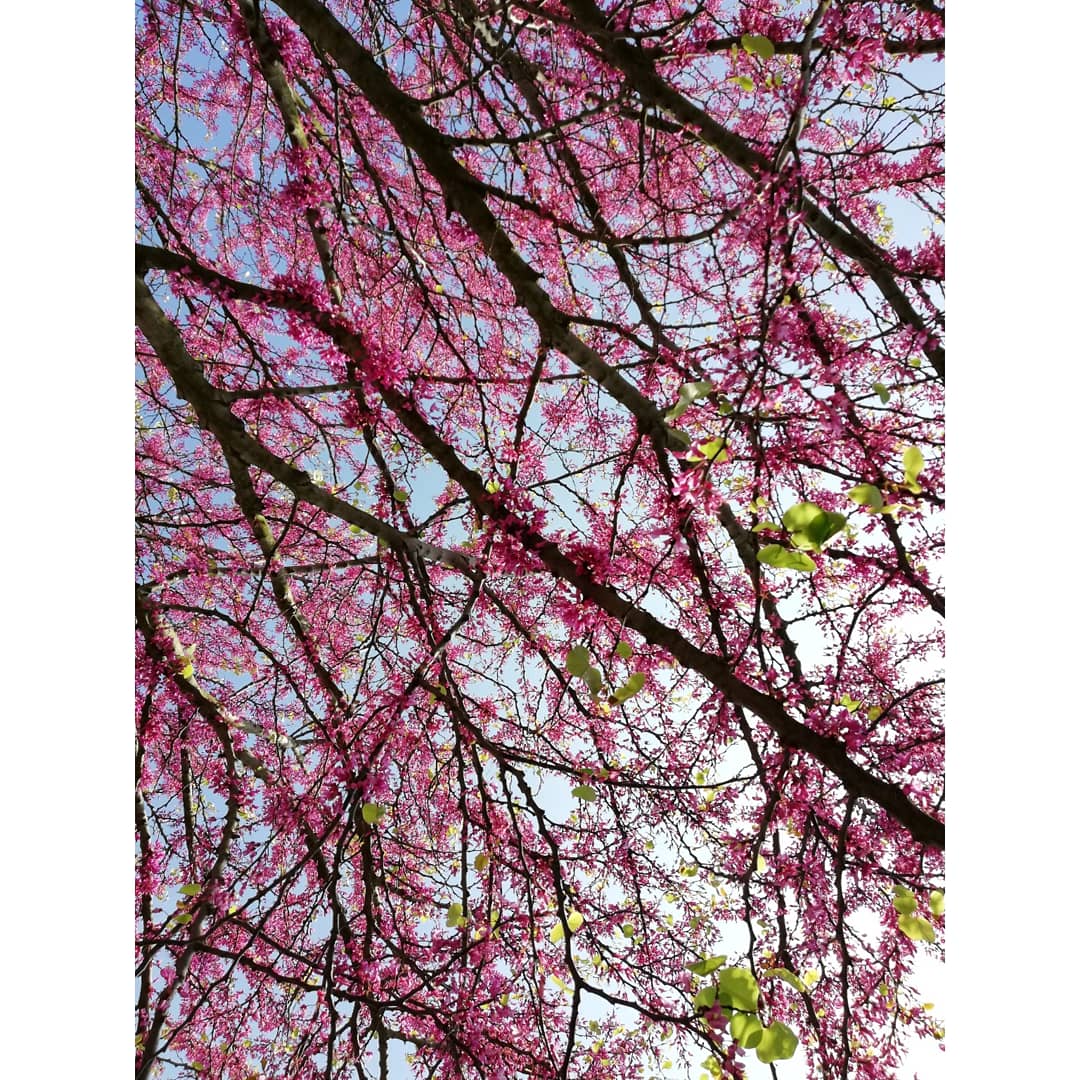 Basri Orak (@basri_orakk) | Twitter