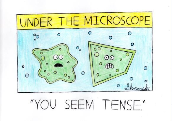 Amoeba Cartoon Funny