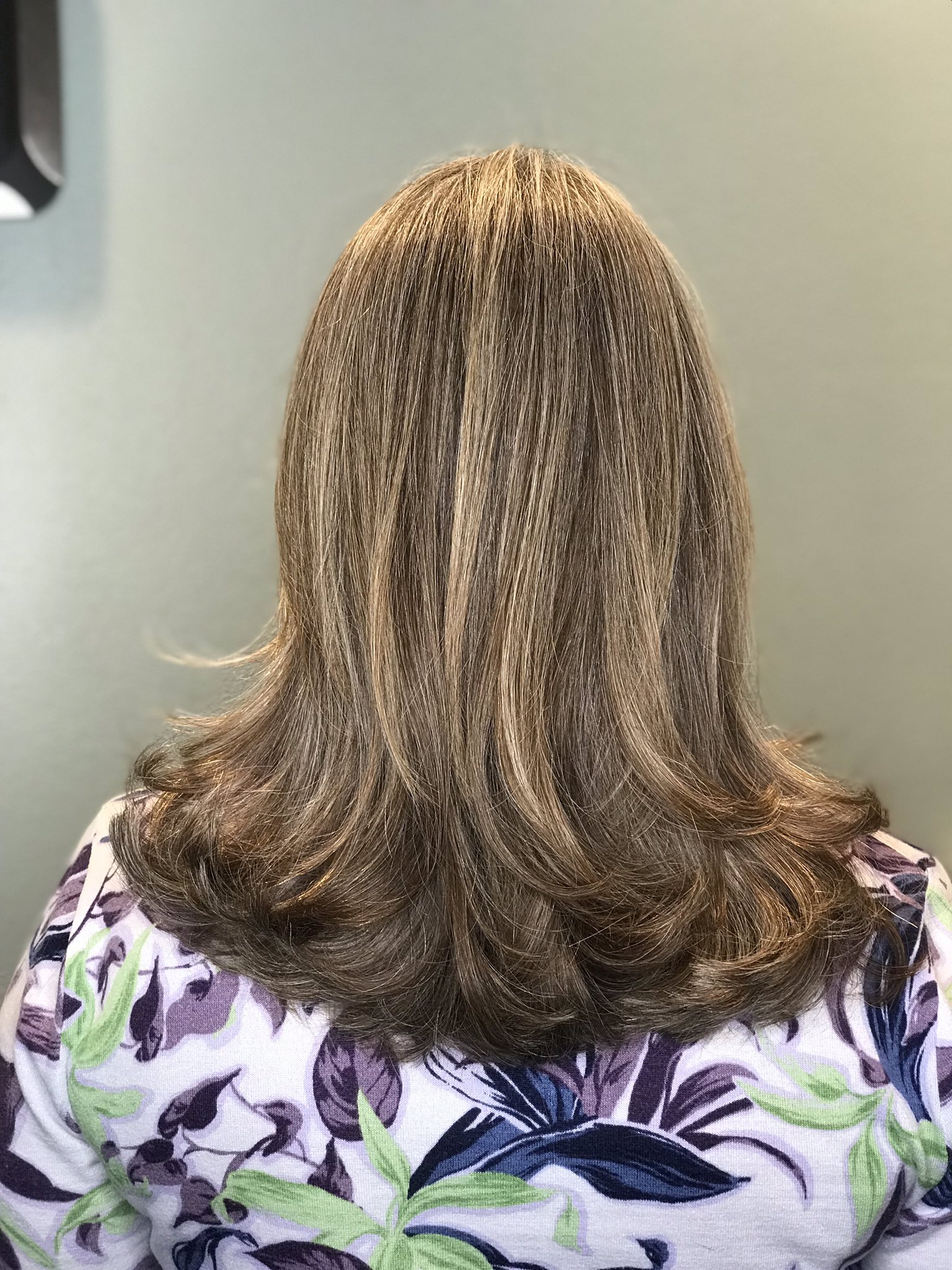 Medium Layered Hair Back View