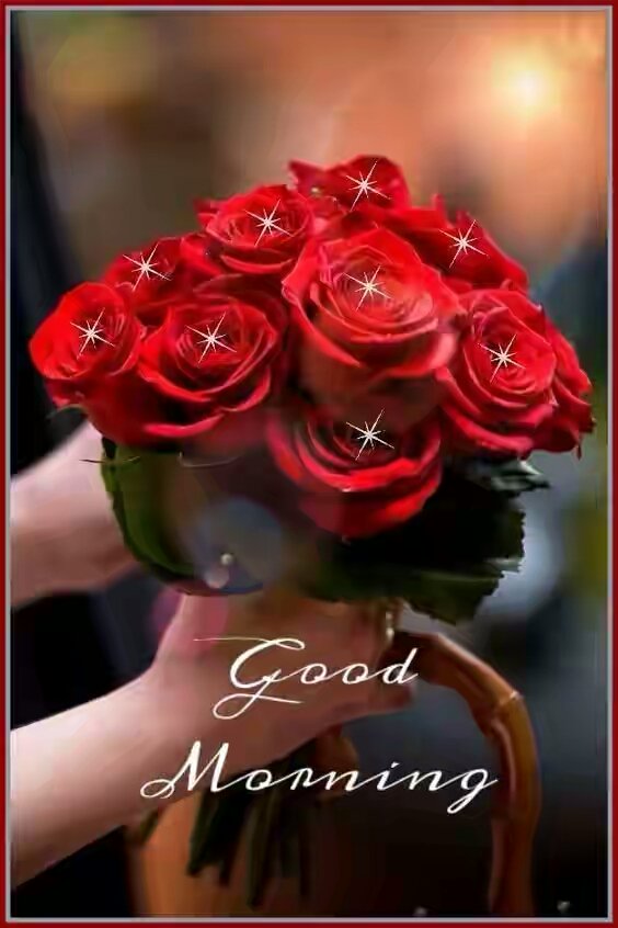 Good Afternoon Images With Red Roses