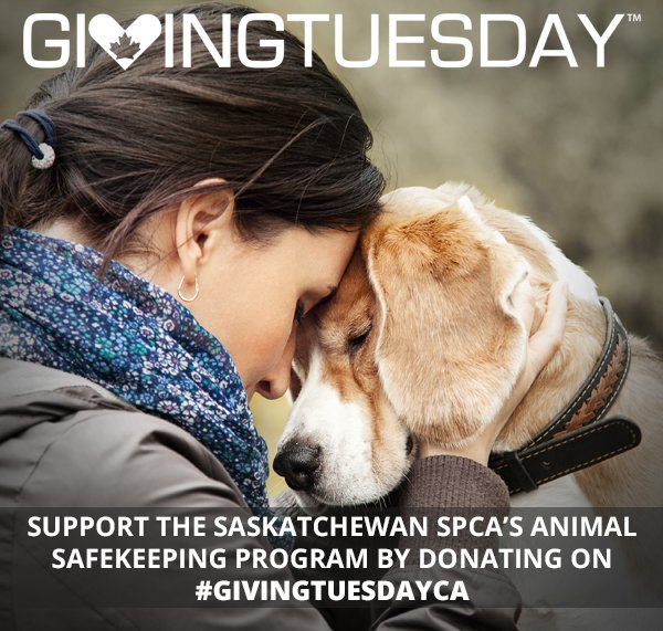 Saskatchewan SPCA (@SaskSPCA) | Twitter