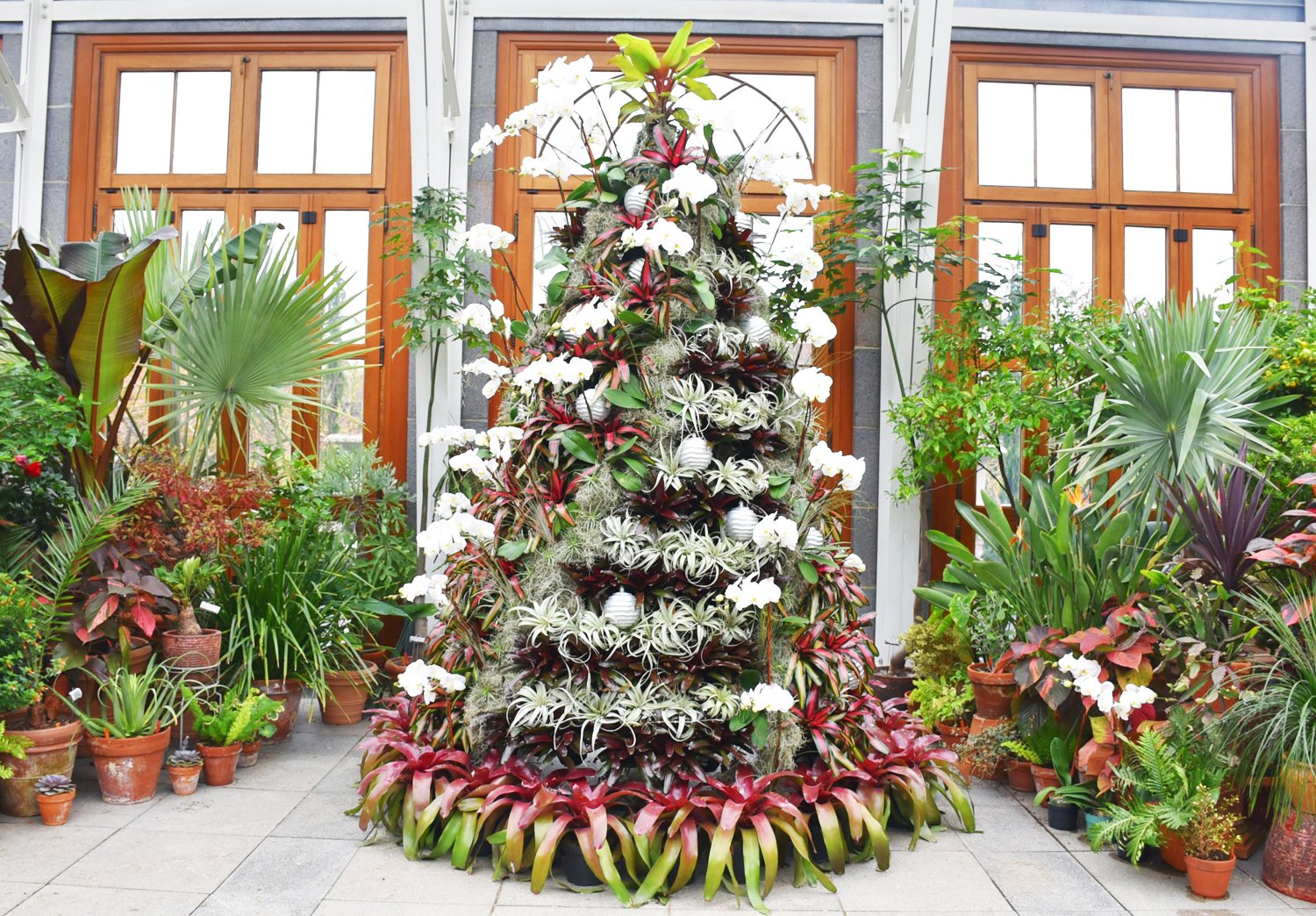 Bromeliad Tree