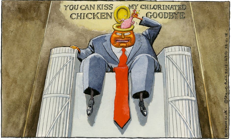 Trump Toon | The Inquiring Mind