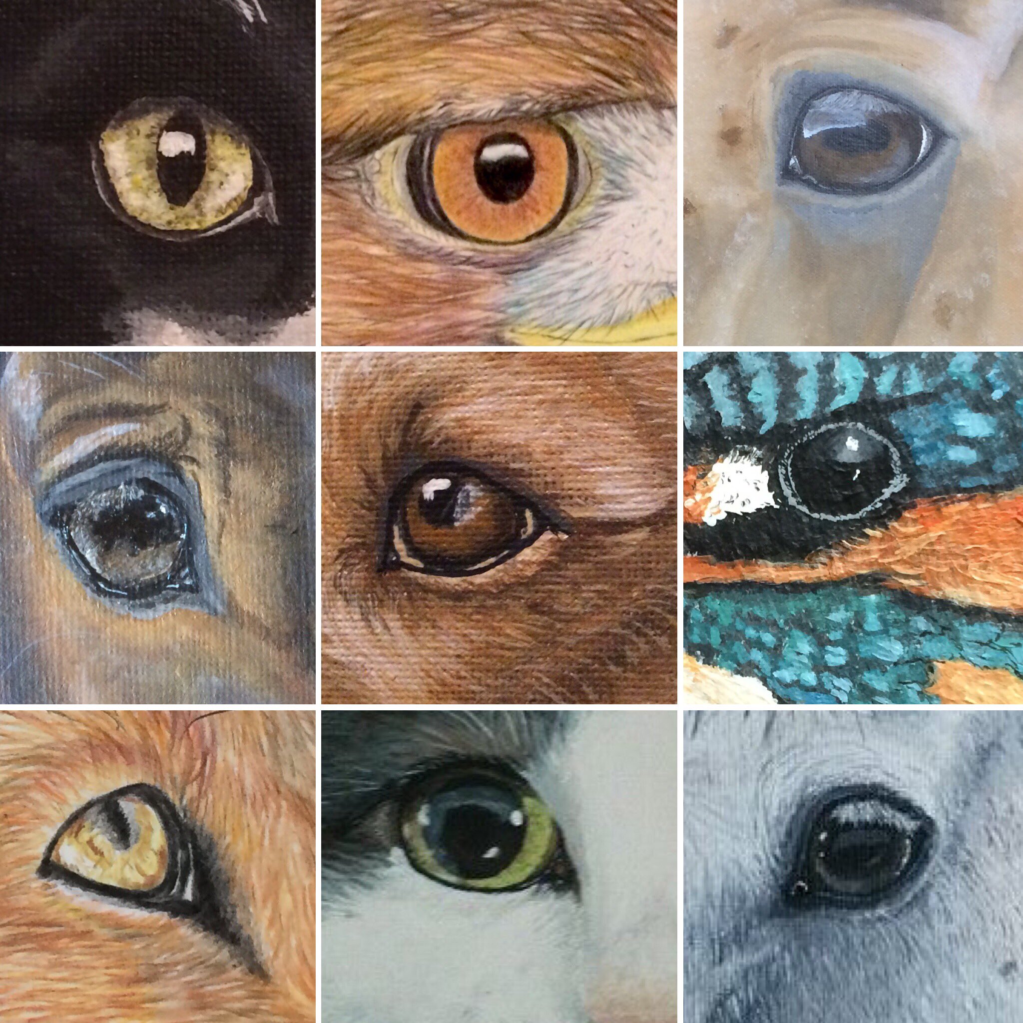 Amy-Dee Watson on Twitter: "Just LOVE painting and drawing animals eyes ...