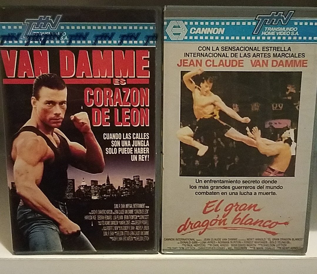 Jean Claude Van Damme Son Christopher