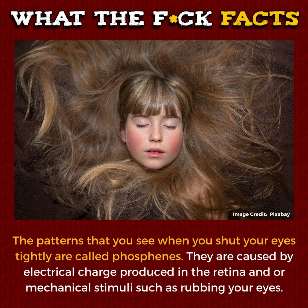 Cean Lumbaca (@cean_lumbaca) | Twitter