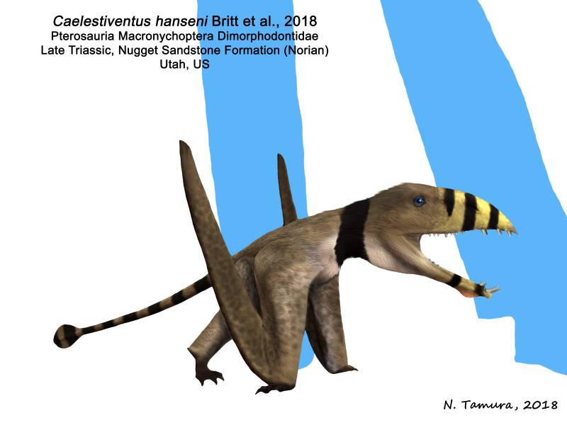 Nobu Tamura on Twitter: "New pterosaur from Utah: #Caelestiventus hanseni https://t.co/TU3oKtZZPV…