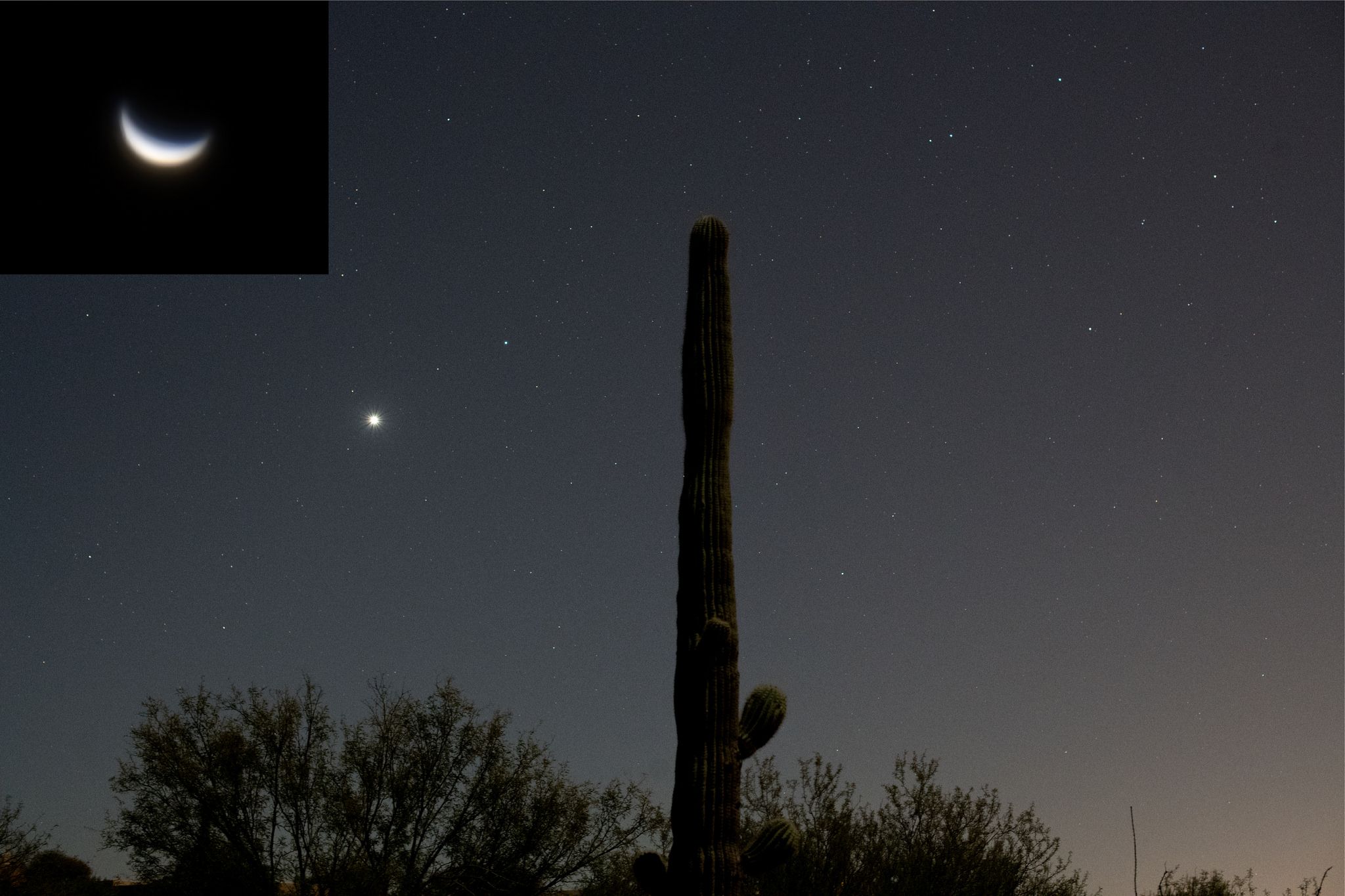 Planets In Night Sky Tucson