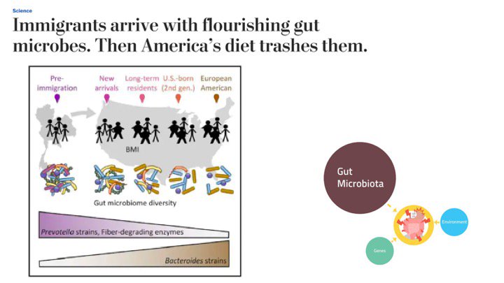 Charlie Lees (@charlie_lees) | Twitter