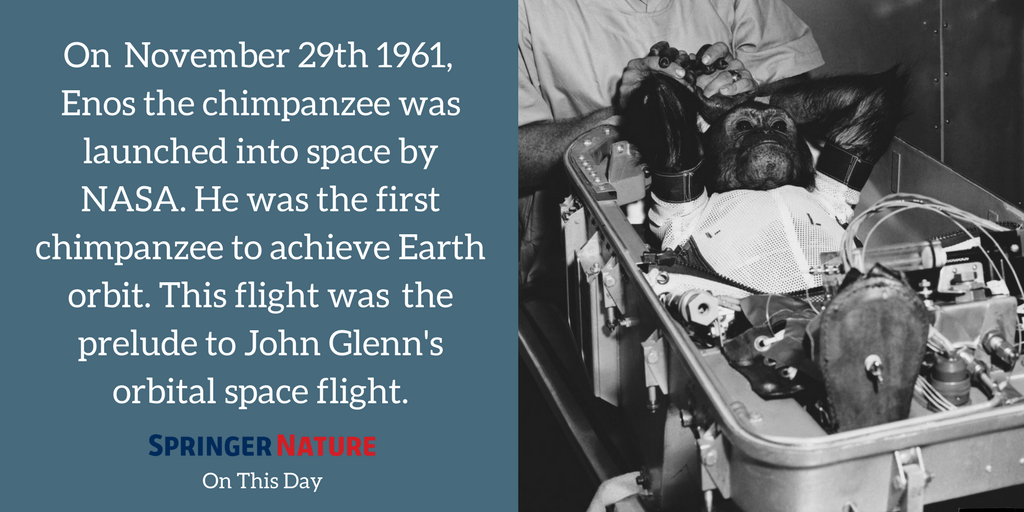 Nasa Chimpanzee