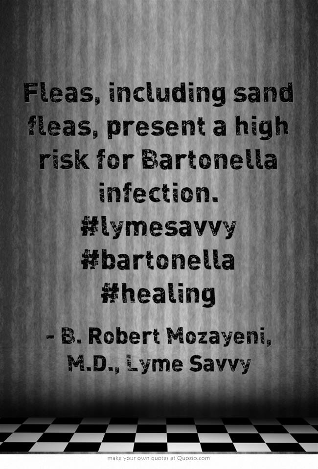 Sharon Rainey (@sharonrainey) | Twitter