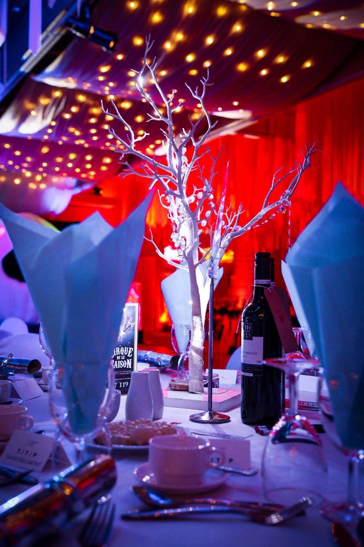 Fire And Ice Christmas Party